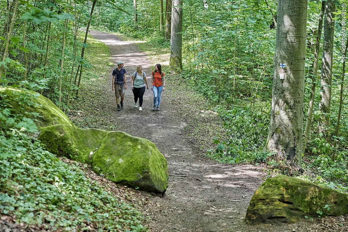 Die große Markwald-Runde - Visit Erlangen